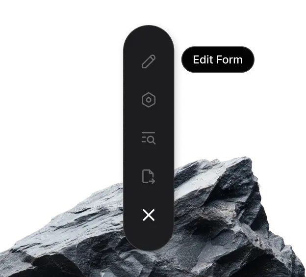 Gravity Forms Fetcher - JetSloth